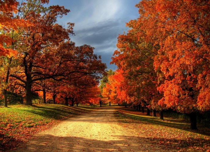 Bernadette A. Sahm – Author Writer and Blogger